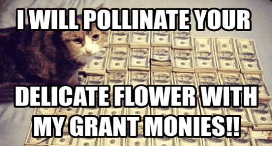 Cross-Pollination Creative Grant Winners 2014 - Apogaea